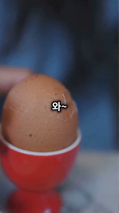 1분 만에 전자레인지 계란찜 만들기 🍳 요리 간편요리계란찜 Youtube