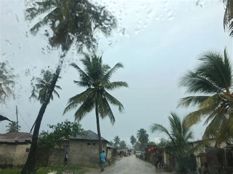 세상에서 가장 아름다운 해변 잔지바르 능귀 비치