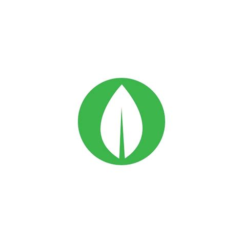 Premium Vector Eco Icon Green Leaf Vector Illustration Isolated Vector