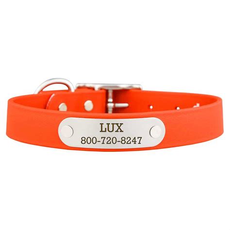 Waterproof Standard Nameplate Collar Dogids
