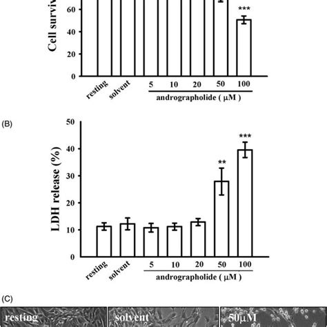Effects Of Andrographolide On Cell Viability And Cytotoxicity Cecs