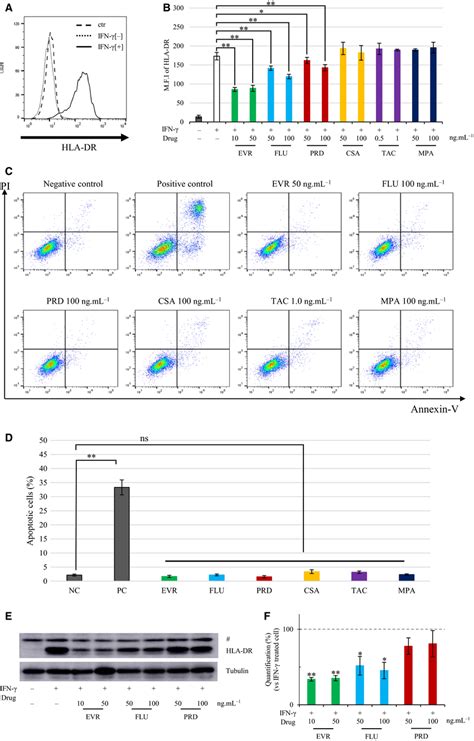 The Suppressive Effect Of Immunosuppressive Drugs On Ifn‐γ‐induced