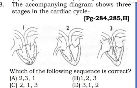 The Accompanying Diagram Shows Three Stages In The Cardiac Cycle Pg 284