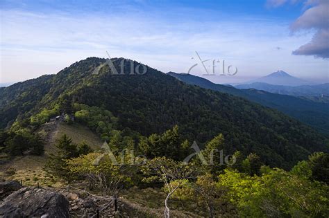 親不知ノ頭から見る大菩薩峠と富士山の日の出 221491360 の写真素材 アフロ