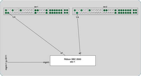 Ribbon Sbc Interface Redundancy Oasys Networking
