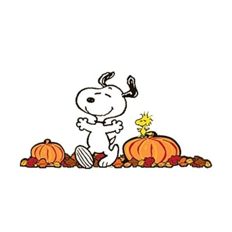 Snoopy Fall Autumn