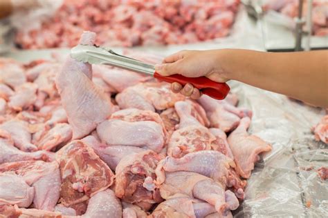 Apakah Perbedaan Daging Ayam Kampung Daging Ayam Broiler