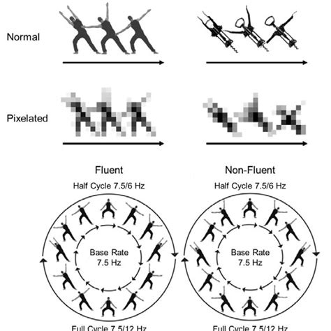 Stimuli And Paradigm The Top Shows The Four Types Of Stimuli Used In Download Scientific