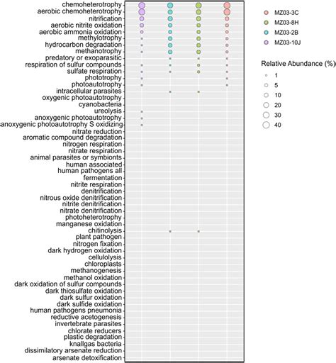 Predicted Ecological Functions Of Bacteria Relative Abundance Of