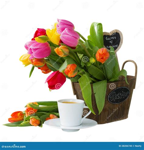 Cup Of Coffeeand Spring Tulips Stock Image Image Of Close Brown 28206745