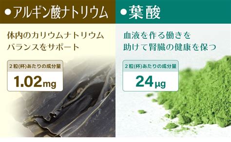 Jp [ウィズペティ公式]【国産 無添加】犬用 サプリ 腎臓の健康維持「毎日腎活」＜チキン味錠剤60粒入＞【7成分配合