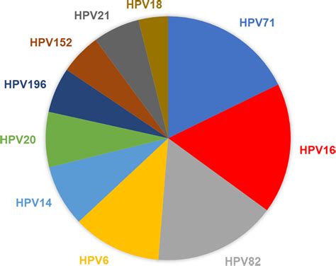 Pie Chart Representing The Top Ten Prevalent Hpv Types In Nigeria