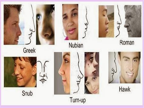 Greek Nose Profile