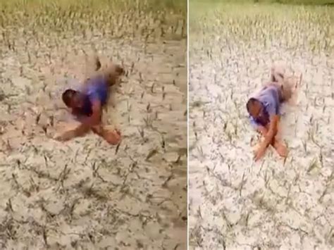 Bihar Weather Update Drought Condition In Bihar After Less Rain In