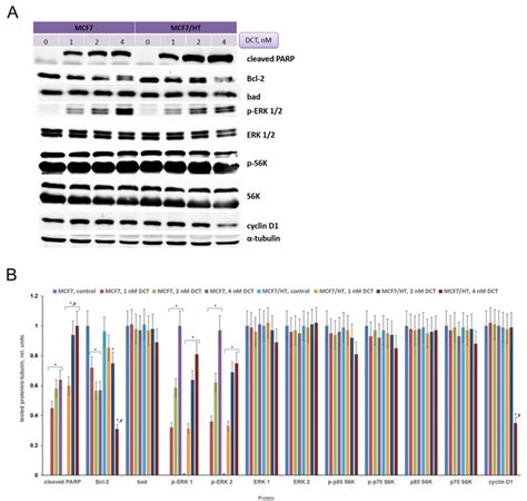Effects Of Docetaxel On Signaling In Mcf7 And Mcf7ht Cells A