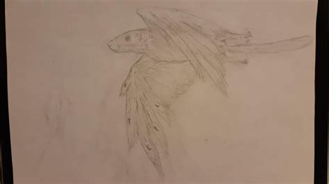 Speculative Evolution Feathered Mammal Concepts 2 R Speculativeevolution