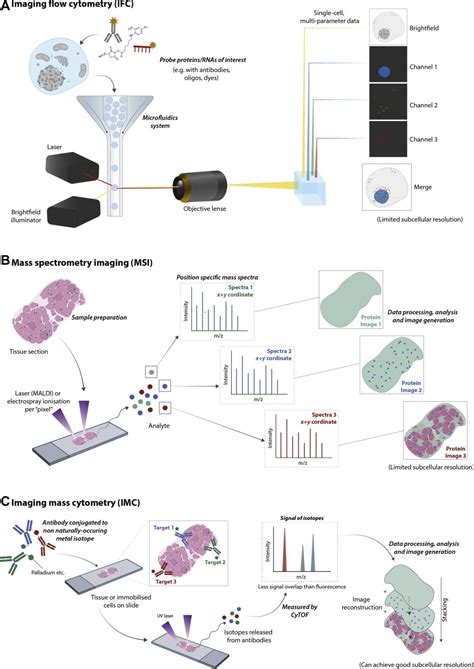 Spatial Proteomics Approaches Which Is Right For You