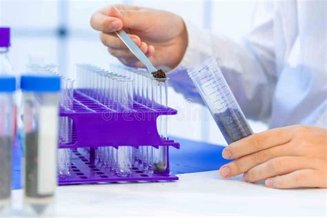 Análisis Químico Biológico De Muestras De Suelo Laboratorio Agrícola
