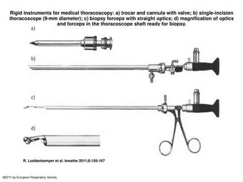 Thoracoscopy Set At ₹ 231000 Set Thoracoscopy Set In New Delhi Id 2850677540088