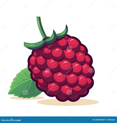 Raspberries Image Cute Image Of An Isolated Raspberries Vector