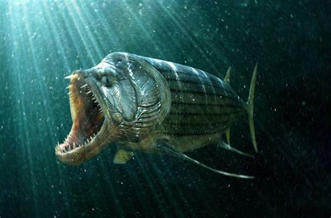 Documentalium Peces Prehistóricos Gigantescos Fascinantes Y Aterradores