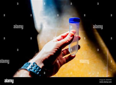 A Photo Of Holding Falcon Tube In A Sunny Lab Depicts Scientific