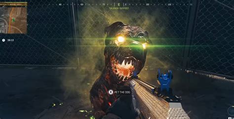 How To Get Pet Dog In Mw3 Zombies