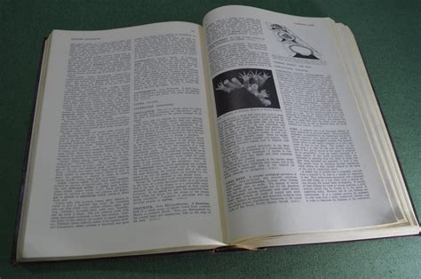 Купить Научная энциклопедия (на английском). Van Nostrand's Scientific ...