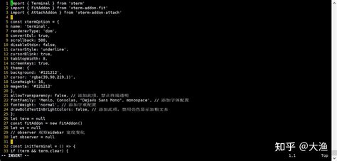 前端xterm，使用vim命令进入文件首行内容缺失，使用i进入编辑模式后第二行内容缺失？如何解决？ 知乎