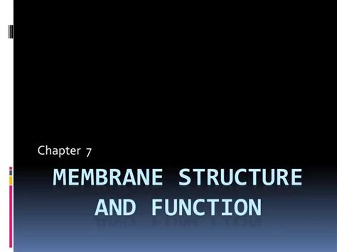 Ppt Membrane Structure And Function Powerpoint Presentation Free Download Id 2687402