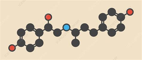 Ractopamine Feed Additive Molecule Stock Image F0215087 Science