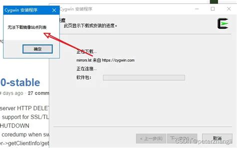 Windows10、windos11环境下使用cygwin64安装 Csdn博客