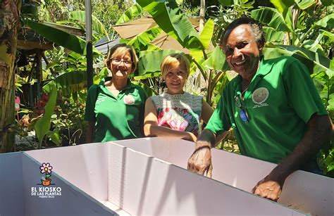 Lombricompostera Casera En Mi Huerto El Kiosko De Las Plantas