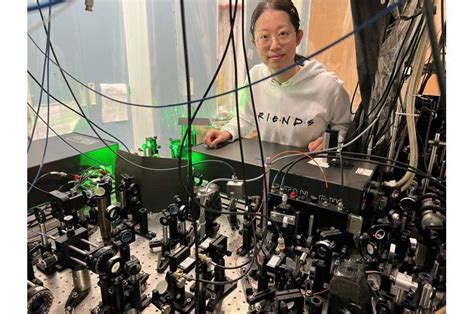 Uncovering Universal Physics In The Dynamics Of A Quantum System Ideas And Discoveries