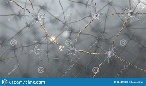 Excitatory Effects Of Excitatory Neurotransmitters On Neurons Stock Illustration Illustration