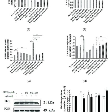 Effects Of Bbe On The Expression Of Pxr Pi3k Akt Pathways In Liver And