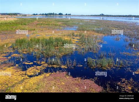Lake Condah Tae Rak Part Of The World Heritage Listed Budj Bim