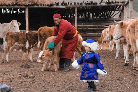 Г Нямлхам Галаа өөрөө түлж усандаа яваад хажуу айлаа чанасан цайгаараа дайлах нь хүмүүсийн