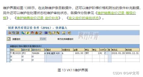 Sap Sd22 定义销售定价的条件类型sap 销售条件类型 Csdn博客