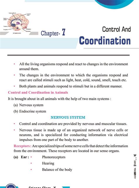 Class 10 Science Notes For Control And Coordination PDF Study