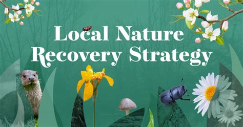 Local Nature Recovery Strategy