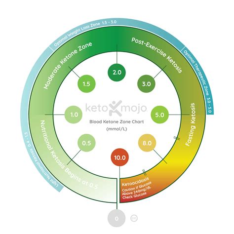 Learn More About Testing With Our Visual Infographics Keto Mojo