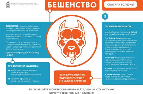 Профилактика бешенства / Новости / Официальный сайт Орехово-Зуевского ...