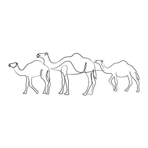 Premium Vector Camel Continuous One Line Art Drawing