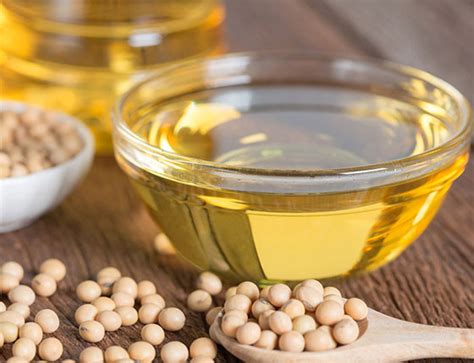 Bulk Organic Soy Lecithin Powder Wholesale Manufacturer Supplier Pekhill