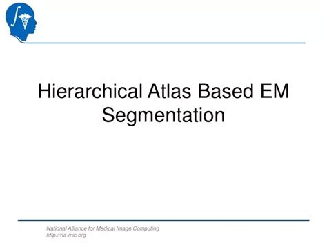 Ppt Hierarchical Atlas Based Em Segmentation Powerpoint Presentation