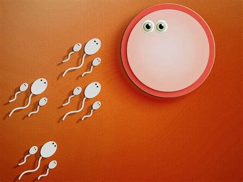 Incredible Health Benefits Of Figs