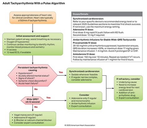 Part 9 Adult Advanced Life Support American Heart Association Cpr