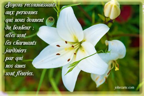 Cartes Virtuelles Generosite Texte Joliecarte