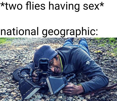 Gets A Boner Rdankmemes